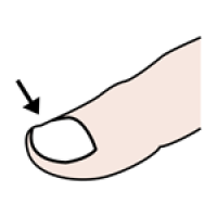 Wikipicto :: Diccionario con pictogramas : Pictoaplicaciones